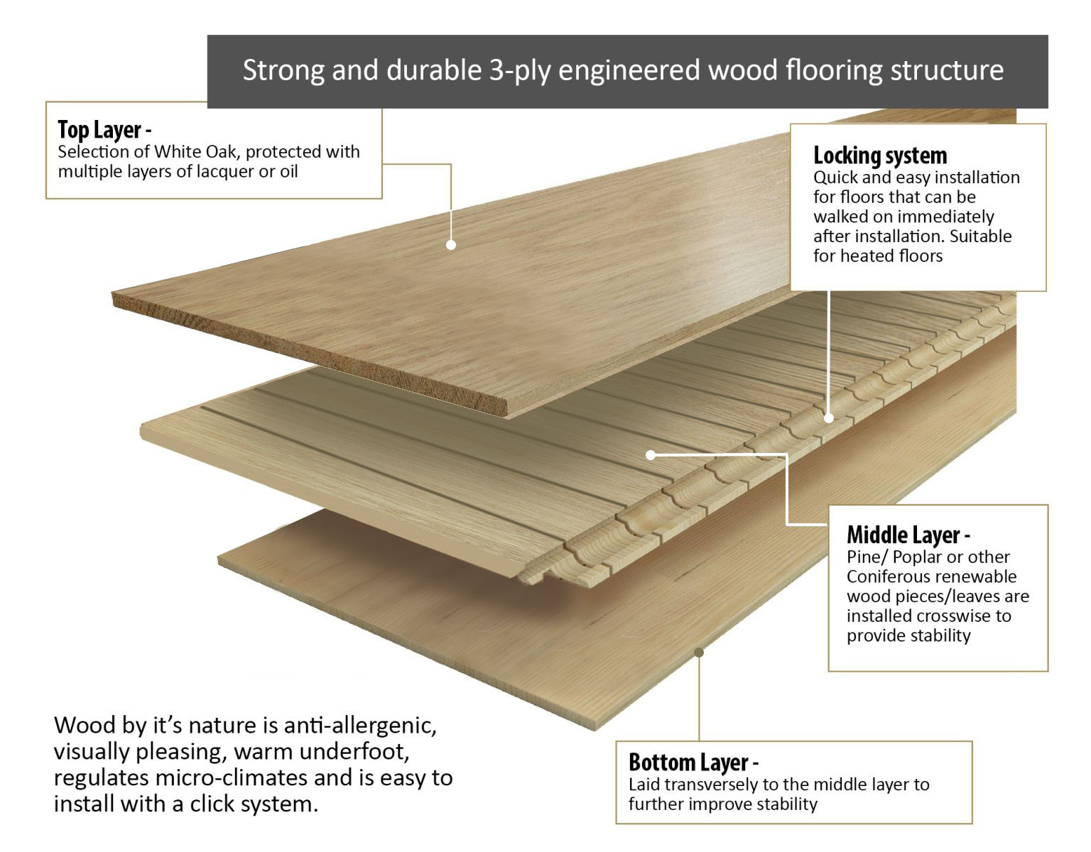 What Is Dimensions Of A Wood Floor At Allen Adams Blog